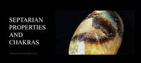 Septarian Properties & Chakra - Little Wiccan Witchcraft Shop